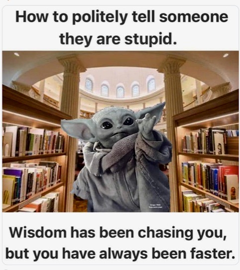 Know What I Mean, Ally Bean? 4 Things I Say Because I Am Me | THE ...