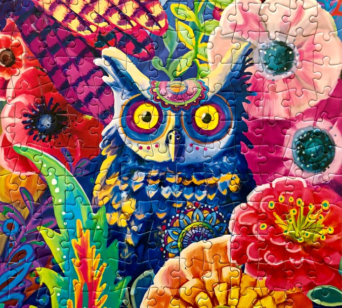What A Hoot! 6 Random Things To Tell You On A Tuesday Morning In ...